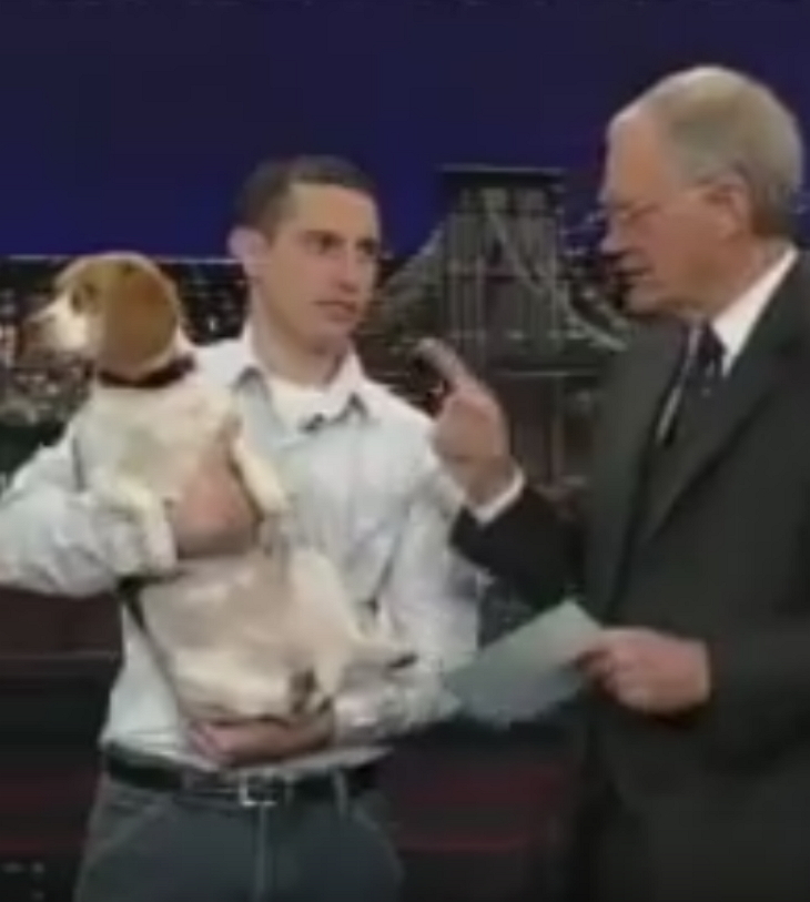 Cute Beagle Told To ‘Play Dead’ And The Way He Does It Cracks Everyone ...
