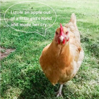 11 Hilarious Chicken Shaming Pictures That Prove Life On The Farm Might ...
