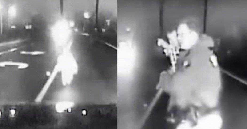 Cop Sees Figure Running Toward Him On The Highway But When He Sees It ...