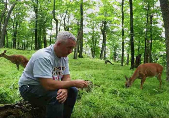 Man Is Surrounded By Unexpected Visitors In Fairytale Visit To The ...