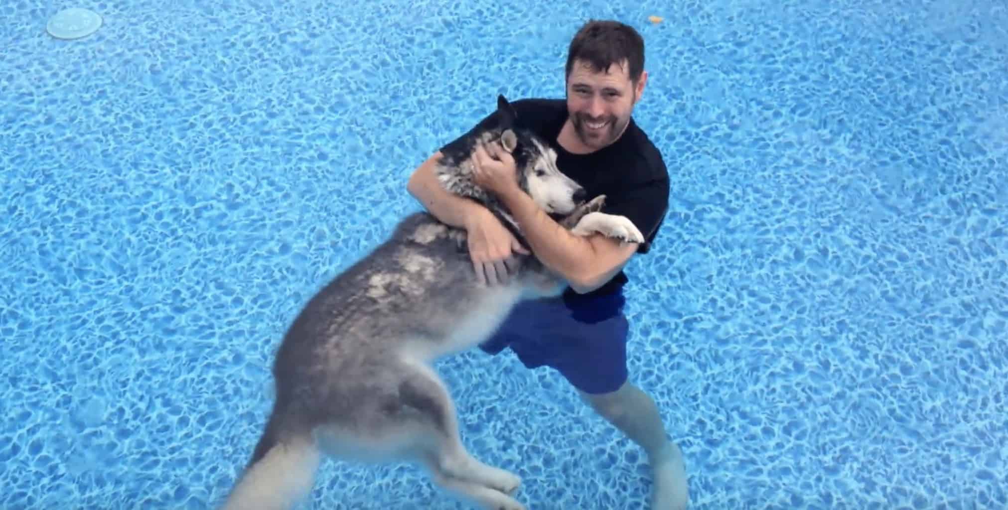 Man Helps His Paralyzed Husky With Pool Therapy With Tear-Jerking ...