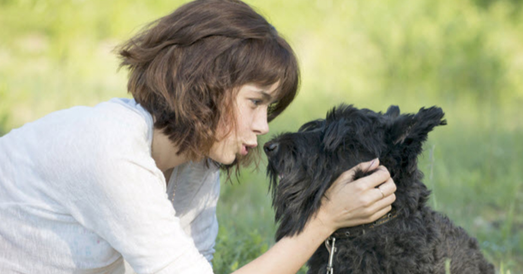 Research Says Talking To Your Pet Makes You A Genius ...