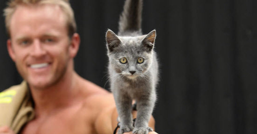 2019 Australian Firefighters Charity Calendar Shows Firefighters Posing ...