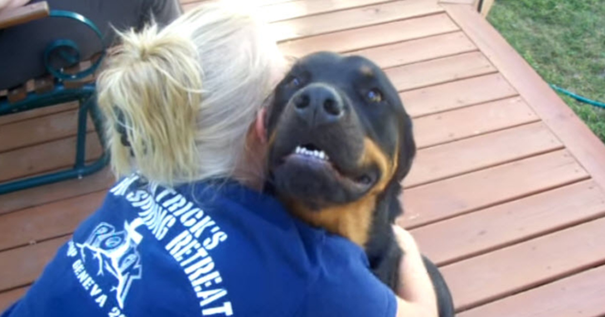 Woman Hugs Her Giant Rottweiler And The Strangest Sounds Come Out Of ...
