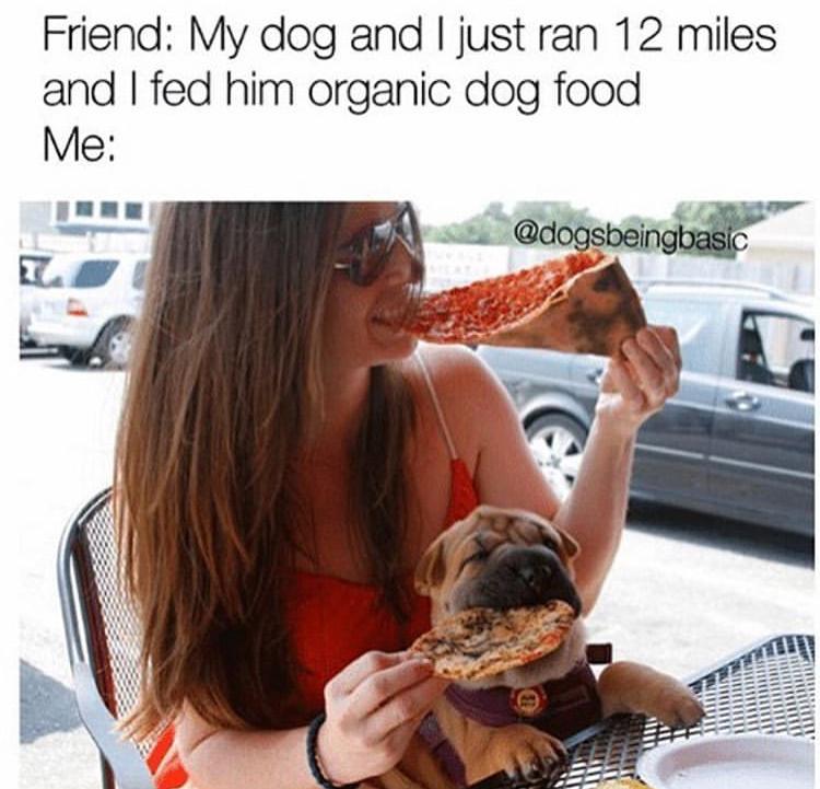 These 23 Hilarious Dog Memes Are Only Funny If You Have A Dog ...