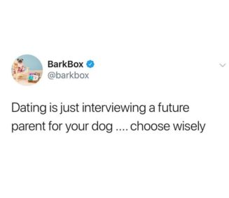 These 23 Hilarious Dog Memes Are Only Funny If You Have A Dog ...