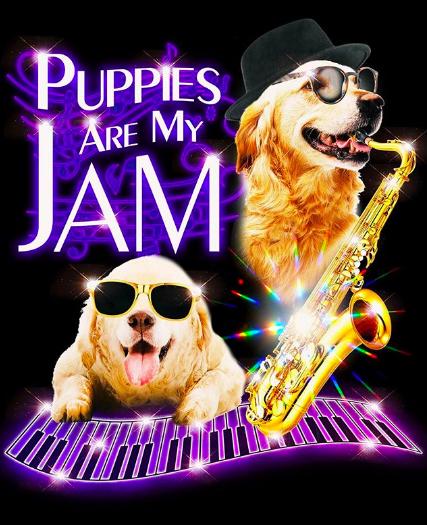 These 23 Hilarious Dog Memes Are Only Funny If You Have A Dog ...