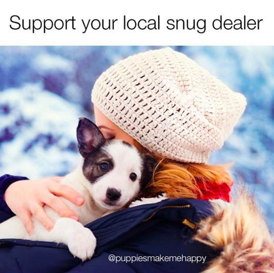 These 23 Hilarious Dog Memes Are Only Funny If You Have A Dog ...