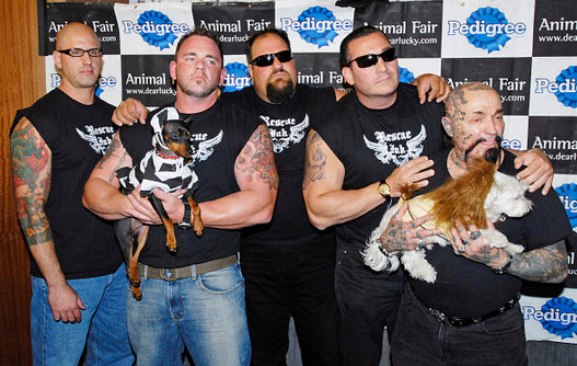 Biker Gang Rescues Animals From Violent Owners And Breaks Apart Dog ...