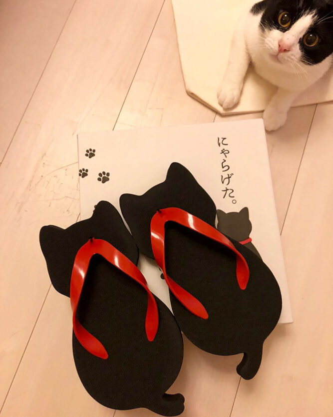 Cat-Shaped Sandals Are A Real Thing And They’re Absolutely Purrfect ...