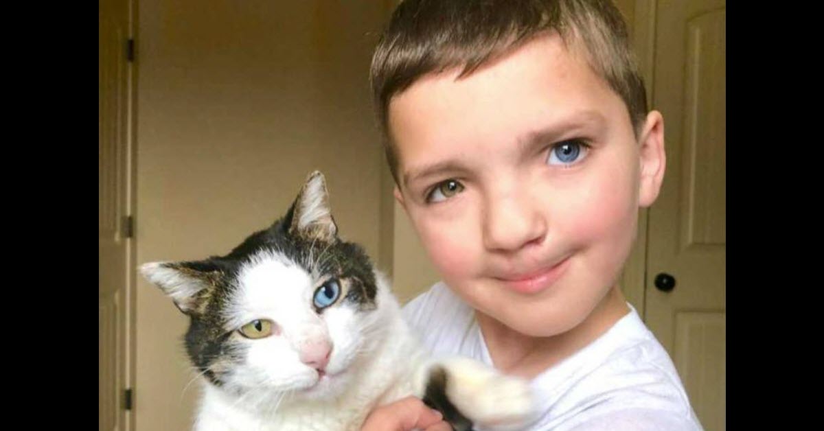 Little Boy With Very Rare Disorder Finds A Cat With The Exact Same ...