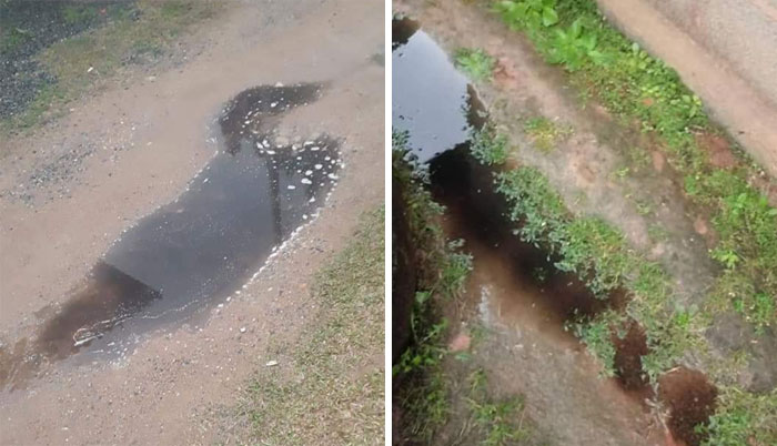 NASA Shares Photos From Space Showing The Massive Amazon Rainforest ...