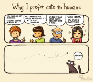 15 Hilarious Comics That Only Cat People Will Understand ...