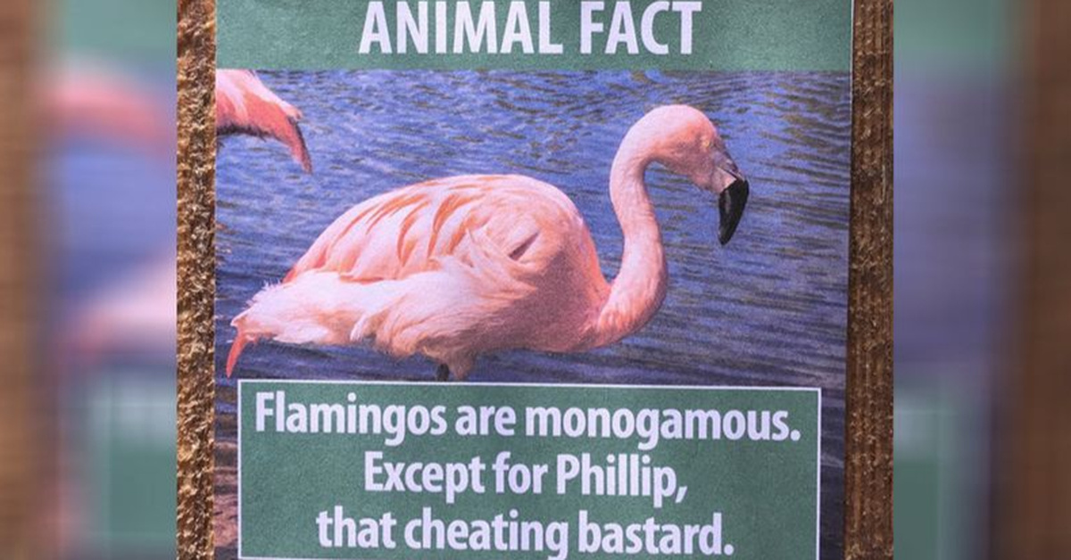 Comedian Leaves Fake Animal Facts At The Los Angeles Zoo ...