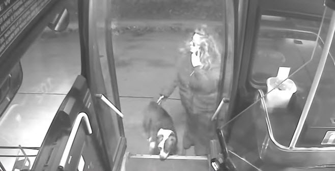 Hero Bus Driver Saves 2 Dogs From Freezing Cold – InnerStrengthZone.com