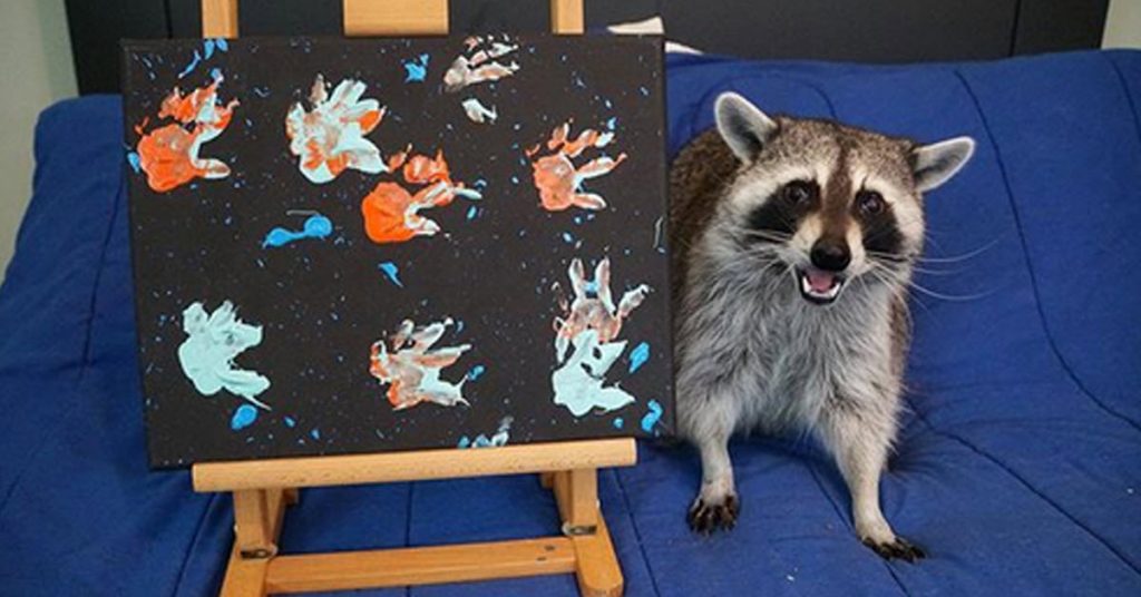 Proud Raccoons Show Their Artwork For The World To See ...