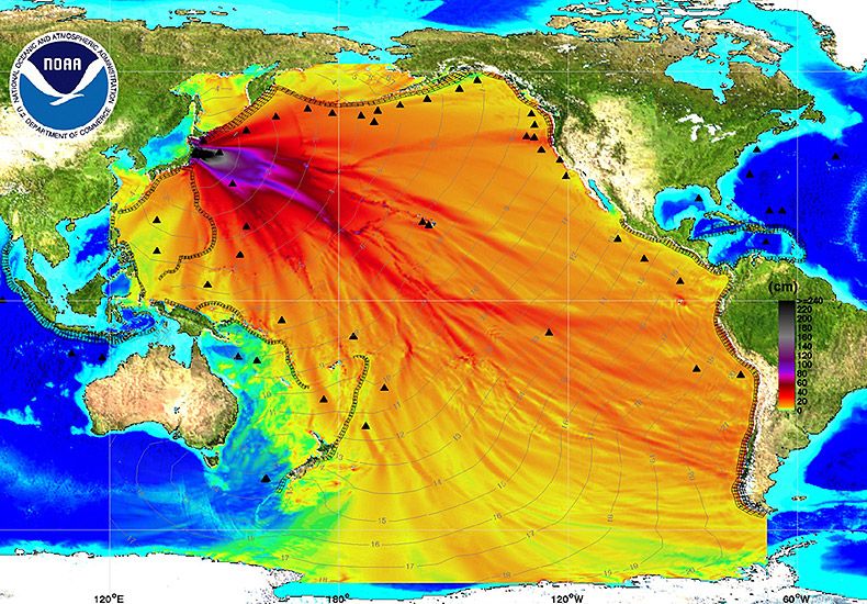 Japan Is Planning To Release Radioactive Water From Fukushima Into The ...