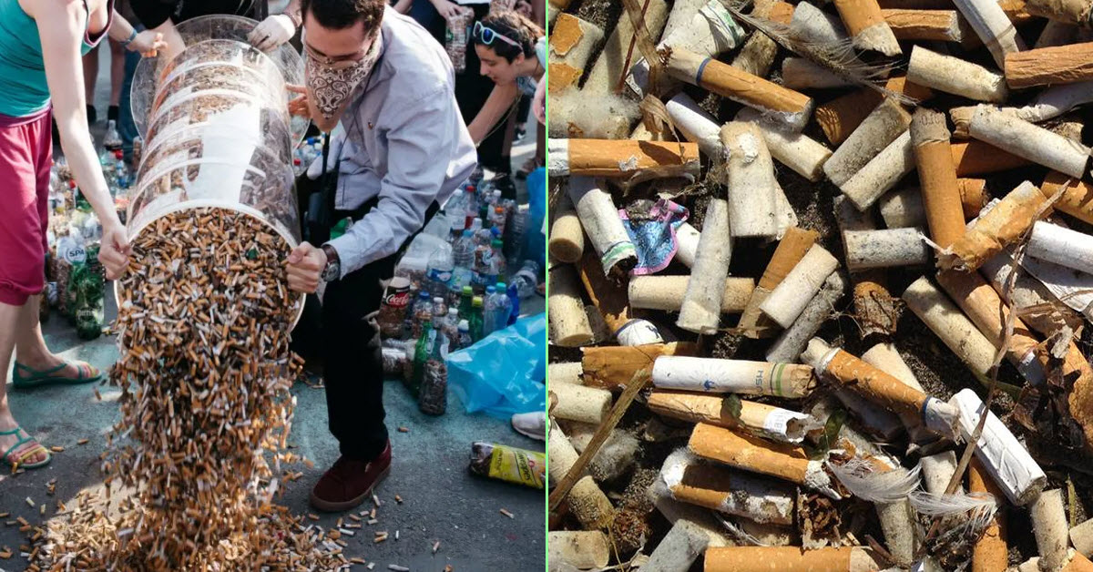 203 Volunteers Collect 120k Cigarette Butts In Only 3 Hours ...