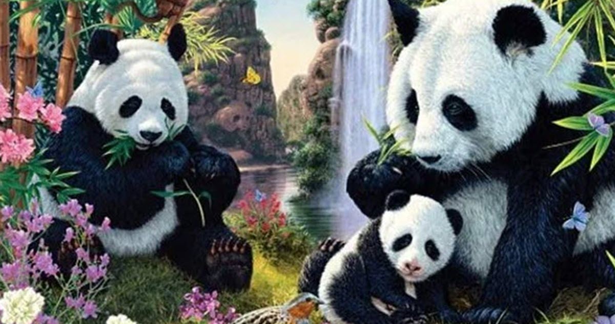 12 Pandas Are Hiding in This Image. Try to Find Them All ...