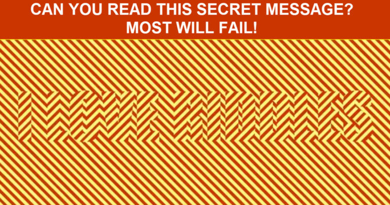 A Puzzling Optical Illusion Is the Latest Craze in Puzzles and Riddles ...