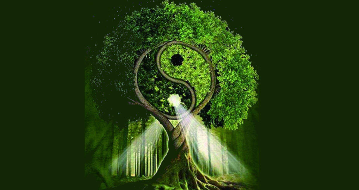 Did You Know That Your Personality Is Revealed By Soul Tree Astrology ...