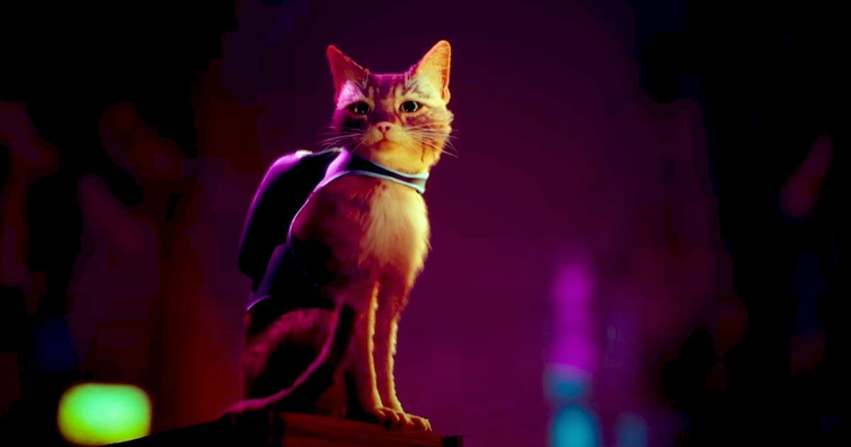 New Video Game Lets You Play As Stray Cat Searching For Home In ...