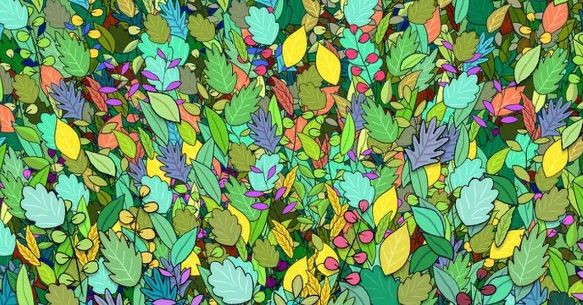 You Only Have 10 Seconds To Find The Hidden Bird – InnerStrengthZone.com