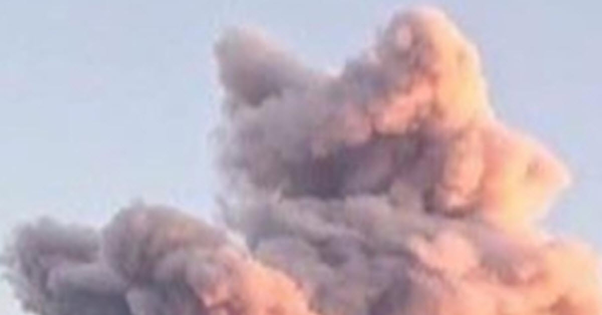 Do You See A Cat Or Dog? The Internet Is Burning Over This Picture ...