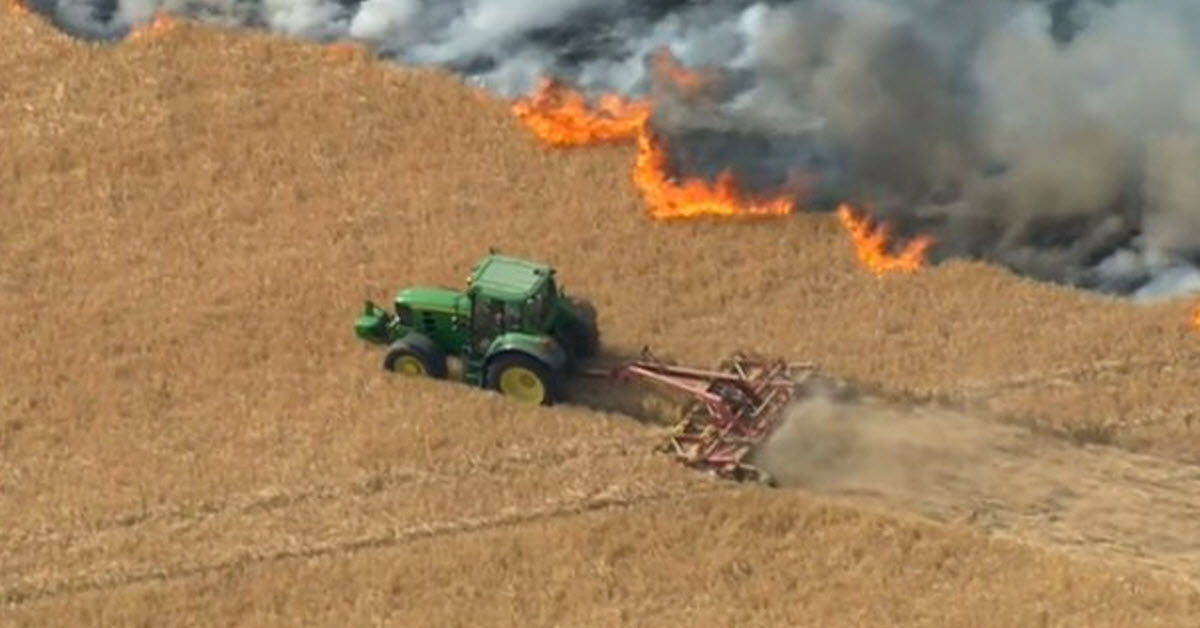 Farmer Desperately Plows Field In The Face Of A Raging Wildfire ...
