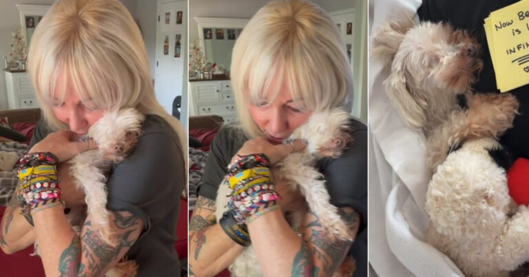 Deaf And Blind Senior Dog Gets A New Chance And A New Dance With Kind ...