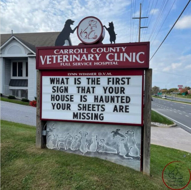 10 Signs That Prove A Vet Has A Sense Of Humor – InnerStrengthZone.com