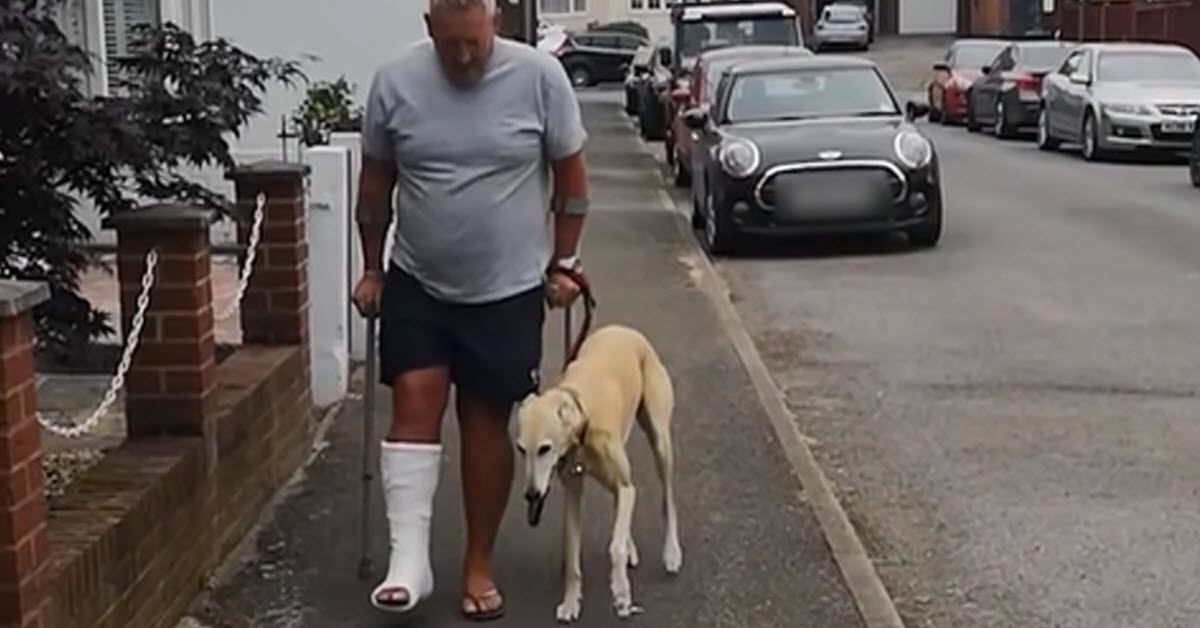 Man Breaks His Leg But His Dog Is The One Limping – InnerStrengthZone.com