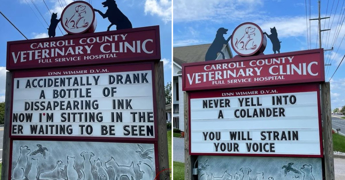 10 Signs That Prove A Vet Has A Sense Of Humor – InnerStrengthZone.com